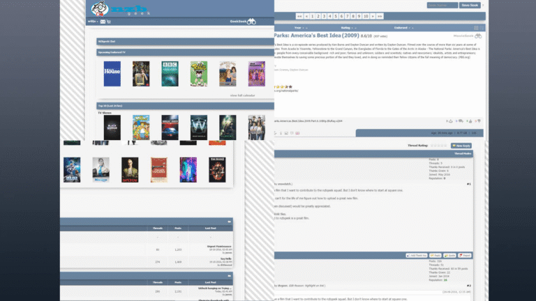 What Is NZBGeek? A Simple Guide for Everyone - Tech k Times